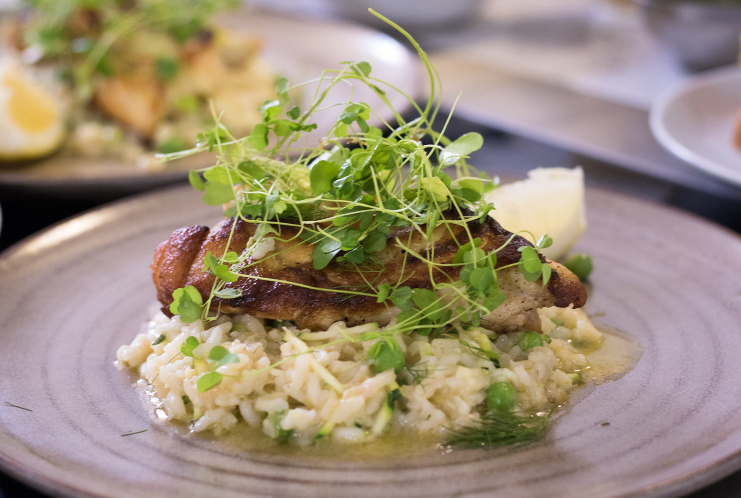 Gallery | Culinary Table Restaurant & Market