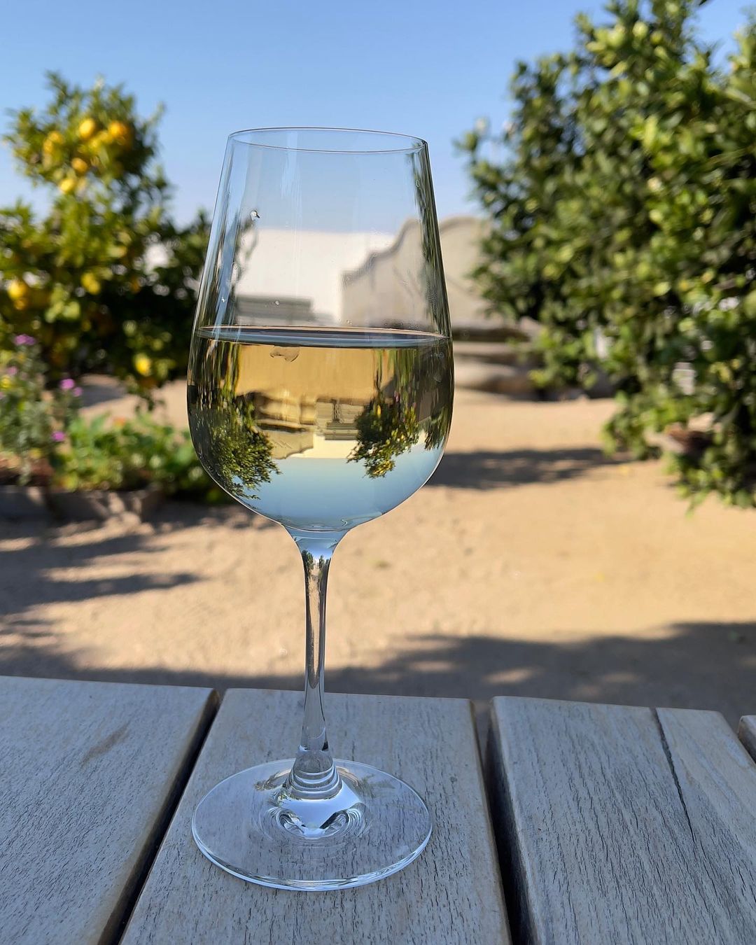 Gallery | Culinary Table Restaurant & Market