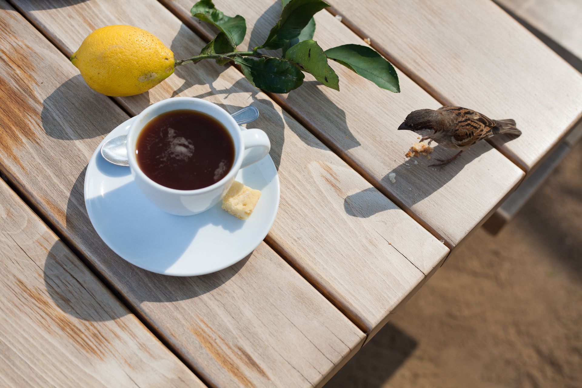 Gallery | Culinary Table Restaurant & Market